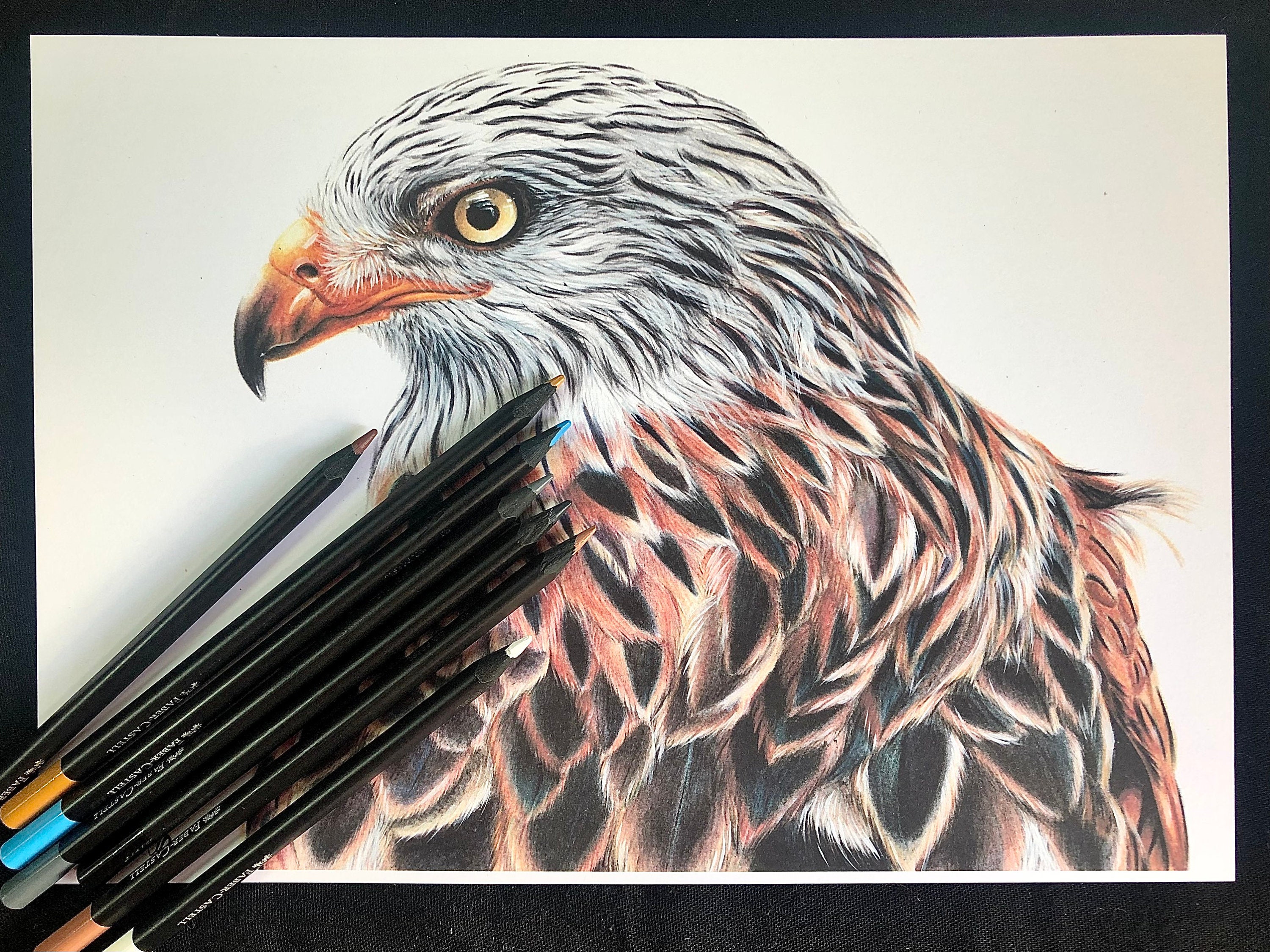 Red Kite Art Print | Bird of Prey, British Wildlife, Home Decor, Gift ...