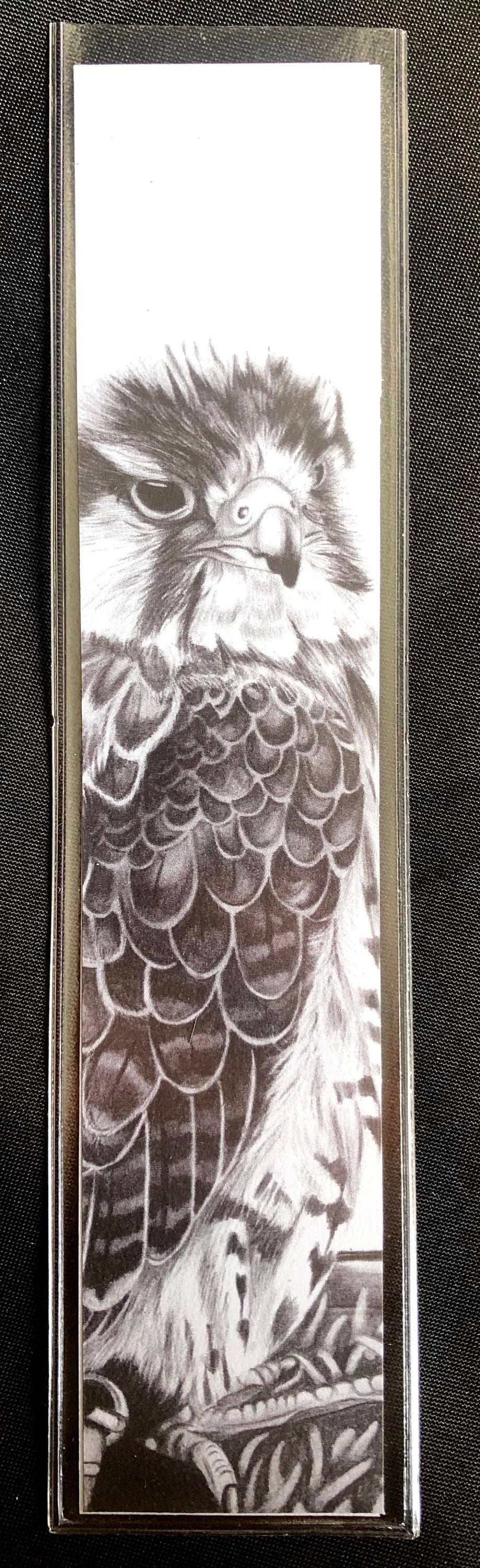 Lanner Falcon Bookmark Bird of Prey, Falcon, Falconry Book Accessories ...