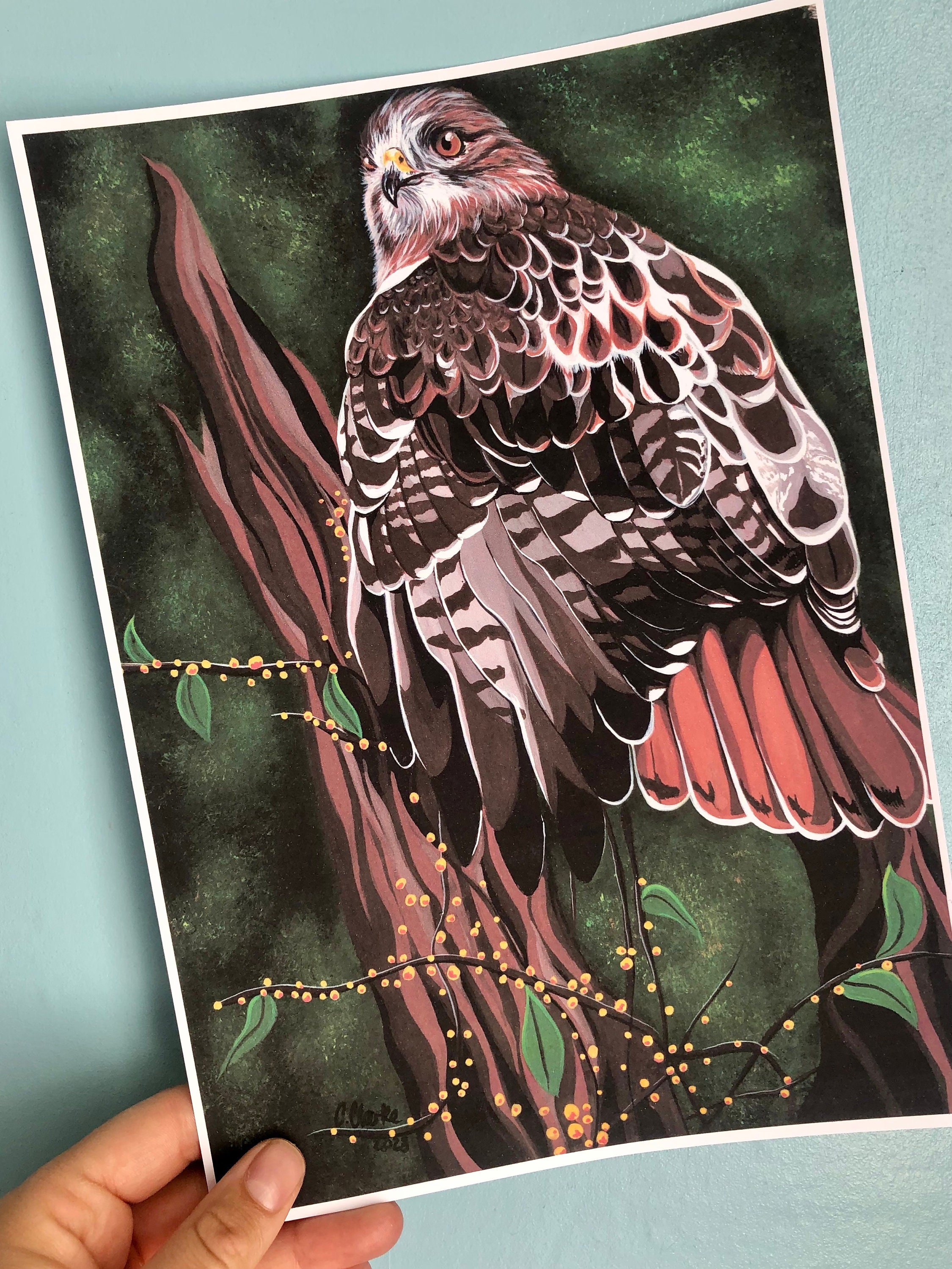 Red Tailed Hawk Art Print | Bird of Prey, Falcon, Wildlife, Falconry ...