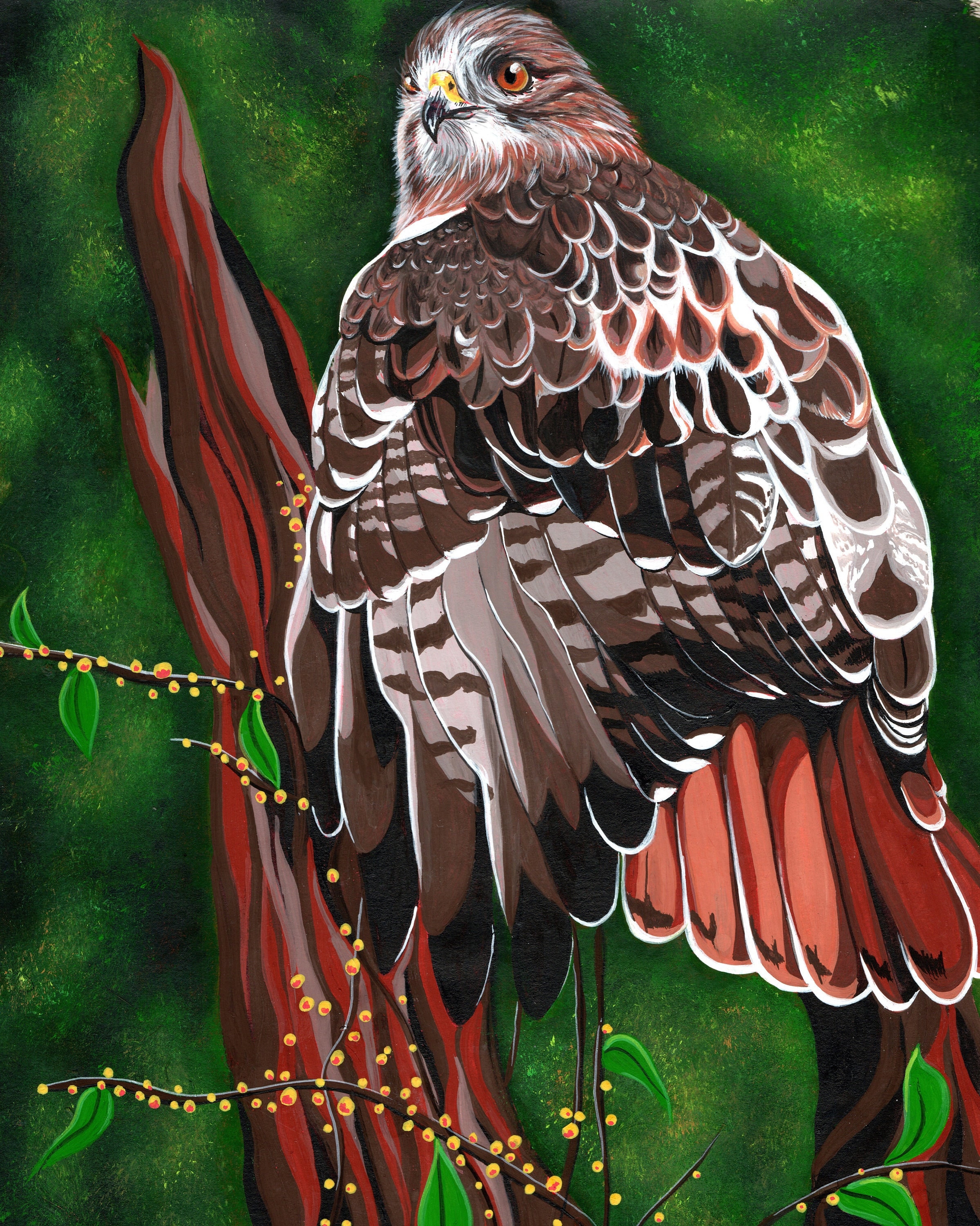 Red Tailed Hawk Painting