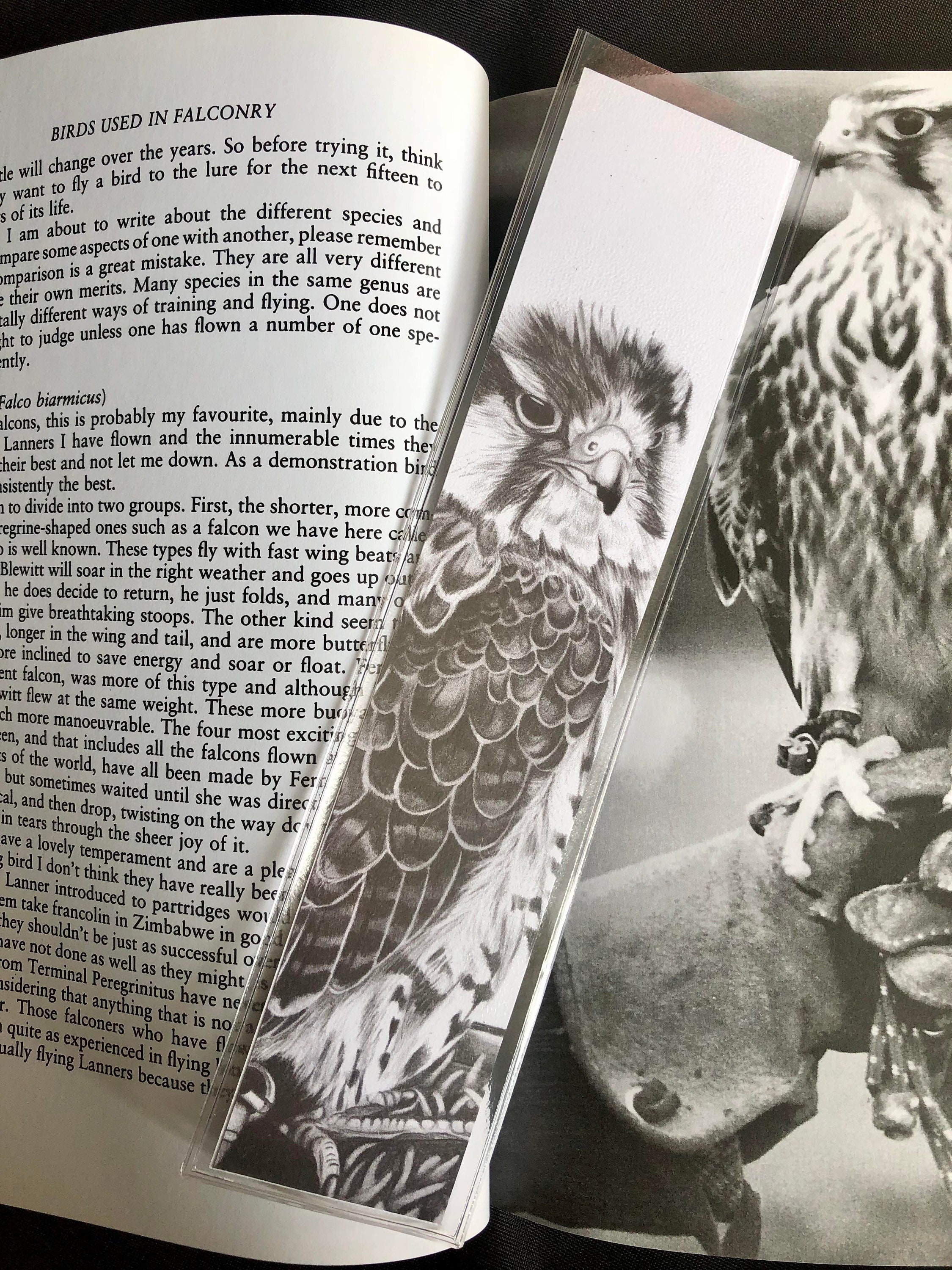 Lanner Falcon Bookmark Bird of Prey, Falcon, Falconry Book Accessories ...
