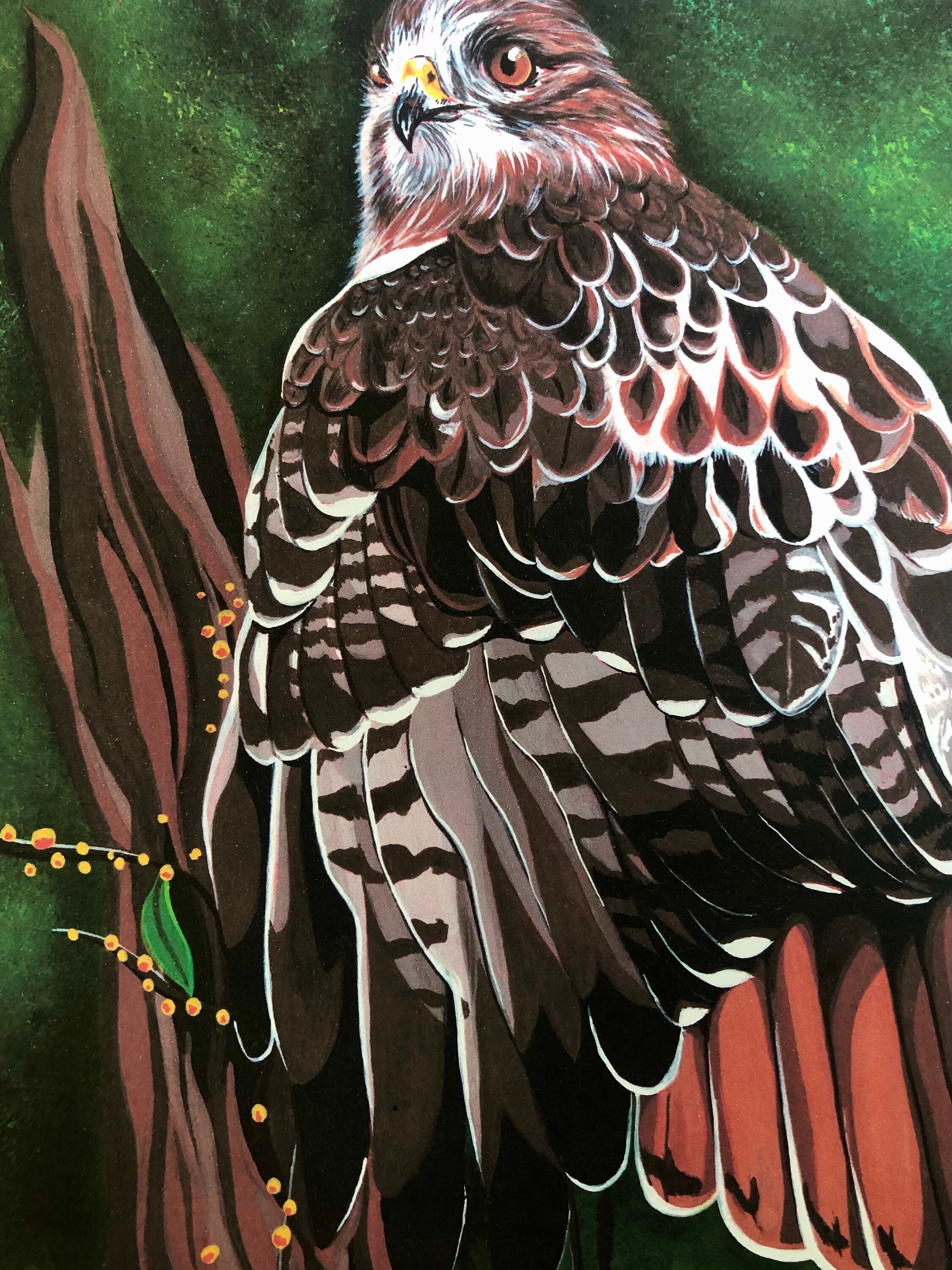 Red Tailed Hawk Art Print | Bird of Prey, Falcon, Wildlife, Falconry ...