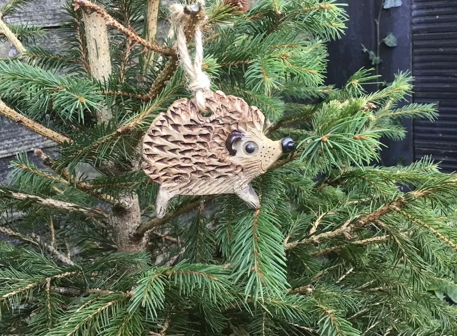 Handmade Ceramic Hedgehog - Etsy