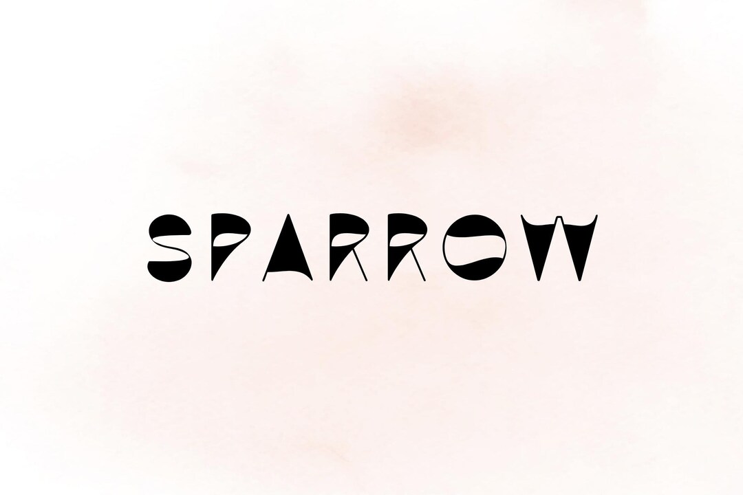 Sparrow Sans Serif Font With Modern Vibe - Etsy