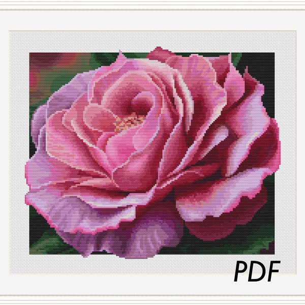 Rose Cross Stitch - Etsy