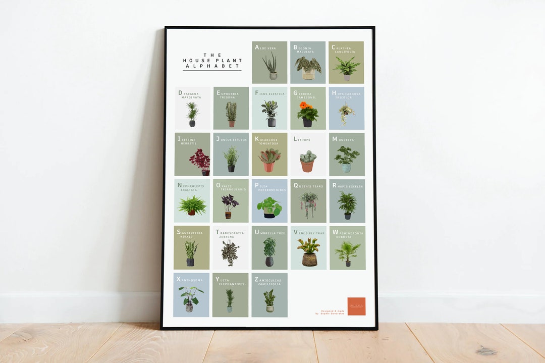 House Plant Alphabet Illustration Wall Art Print | Botanical Art Poster ...