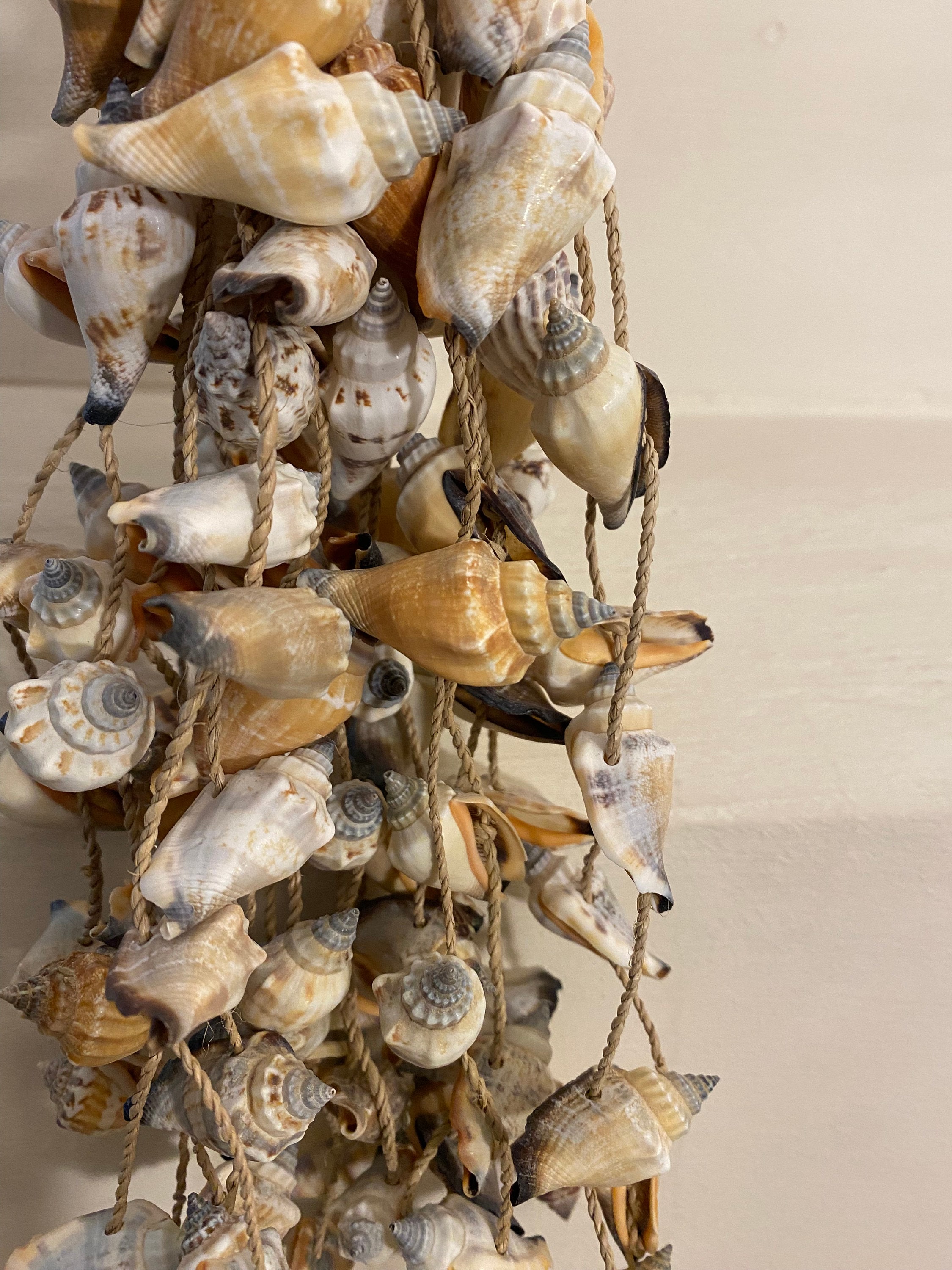 Kerang Sea Shells Rattle (INDONESIA) - Etsy