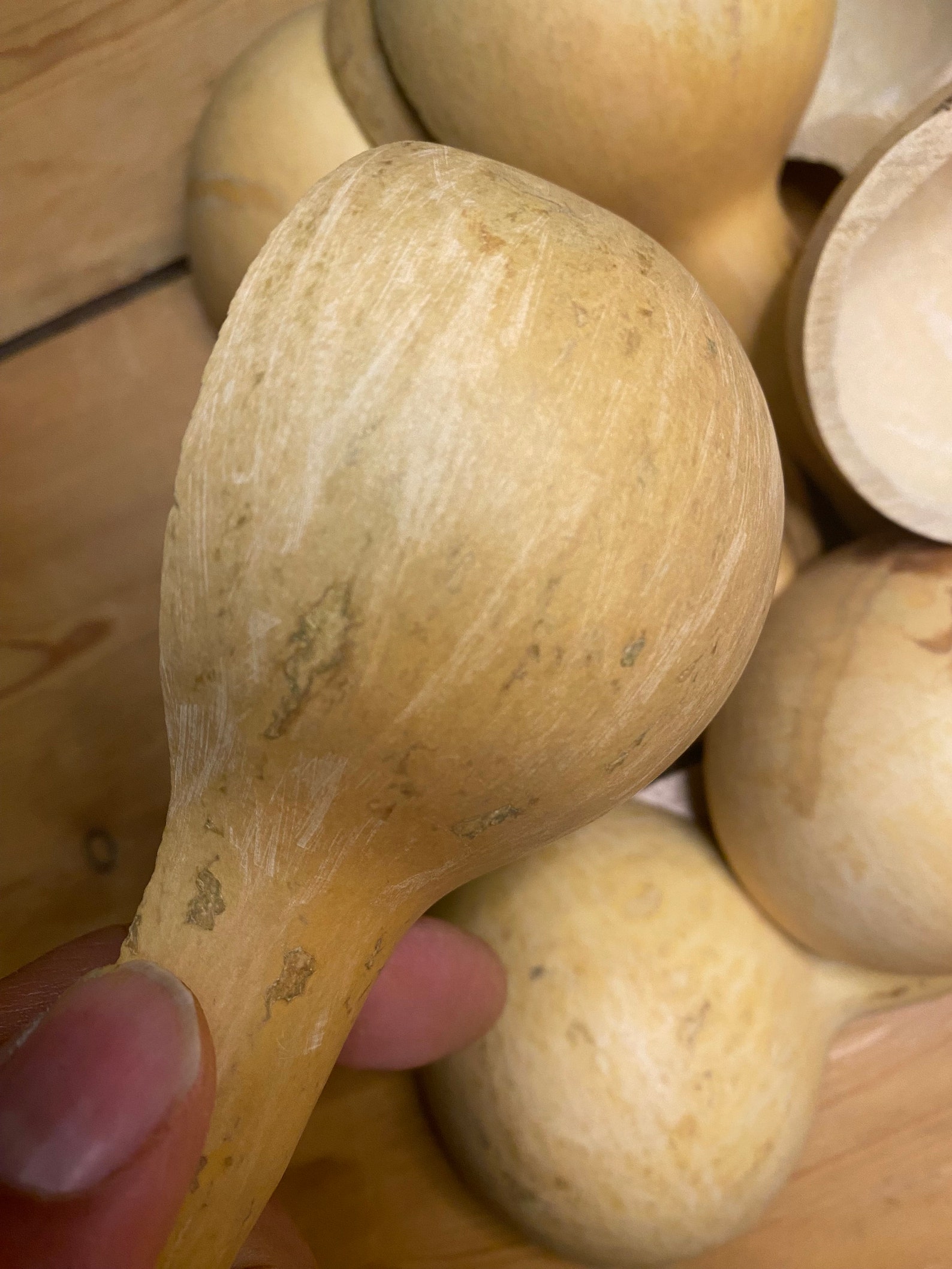 SINGLE CALABASH SPOONS 3 4 Inchesmali - Etsy