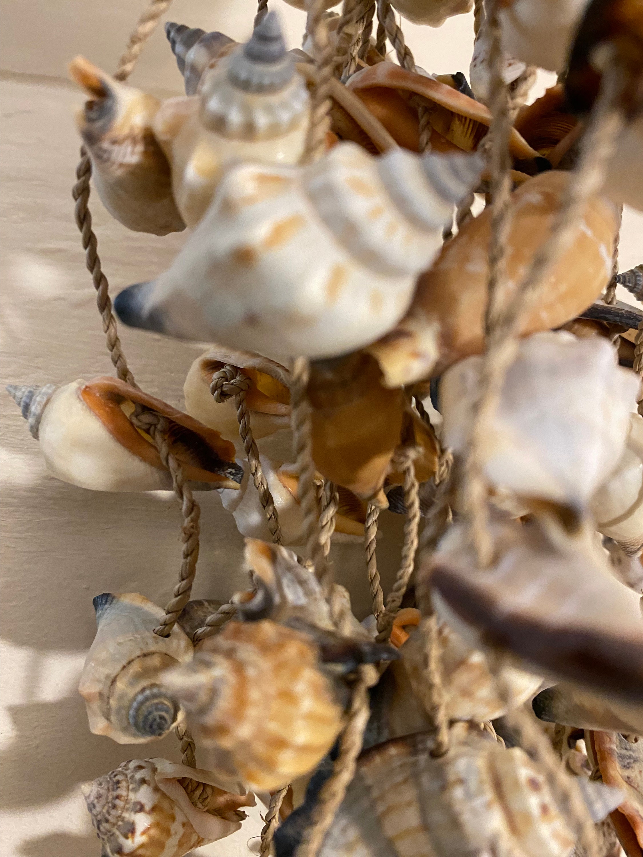 Kerang Sea Shells Rattle (INDONESIA) - Etsy