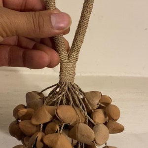 Kenari Seeds Rattle (INDONESIA) - Etsy Australia