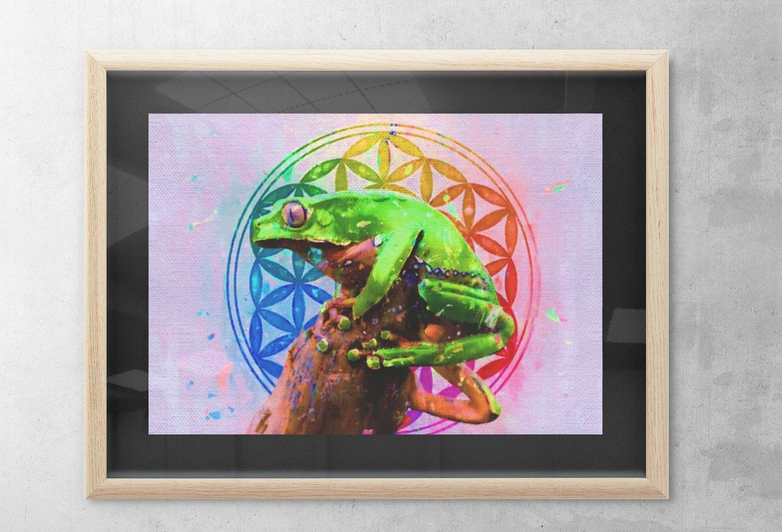 Kambo Frog Sacred Geometry Art Print / Psychedelic Healing | Etsy