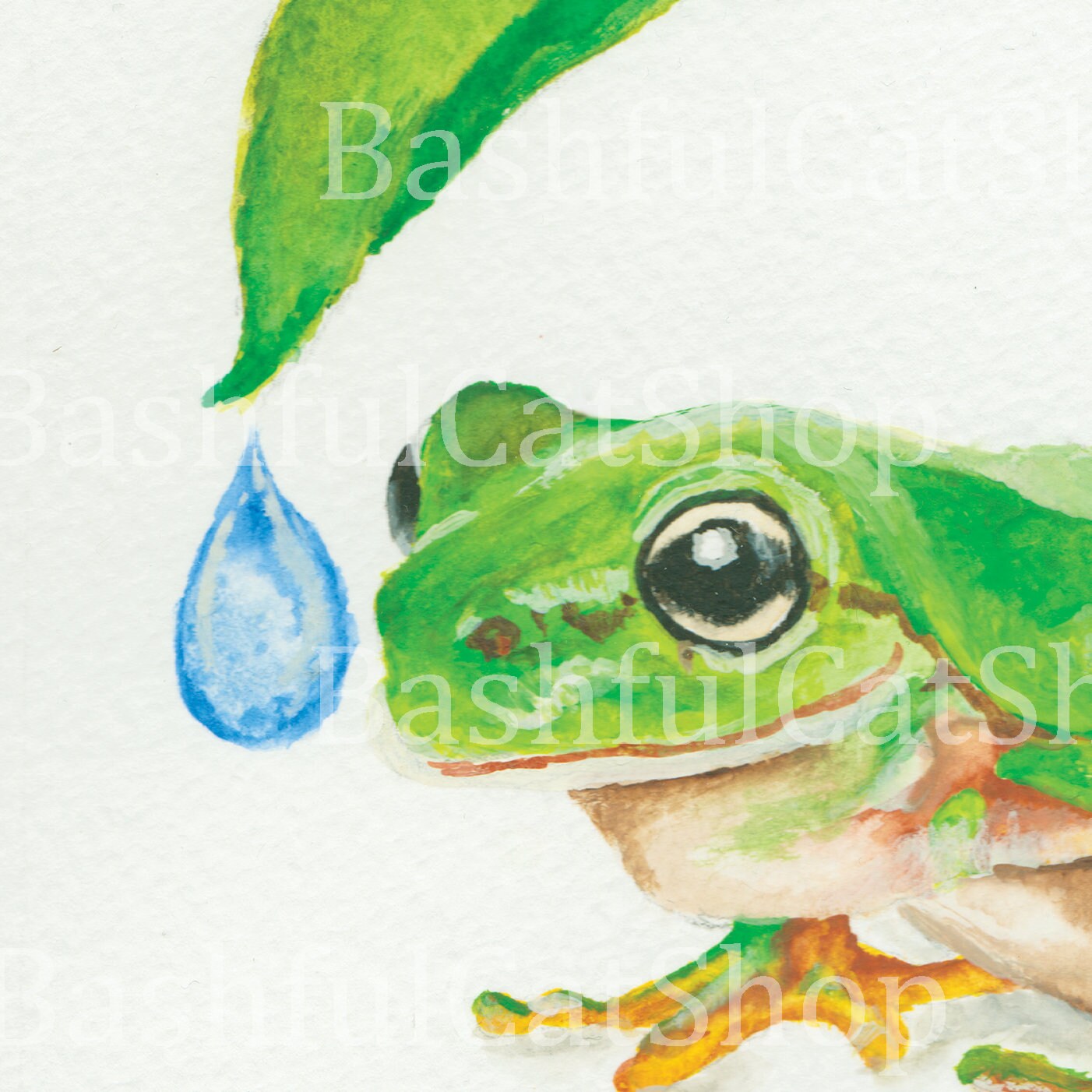 Digital: Frog Watercolor Painting - Cute Green Tree Frog Sitting Under ...