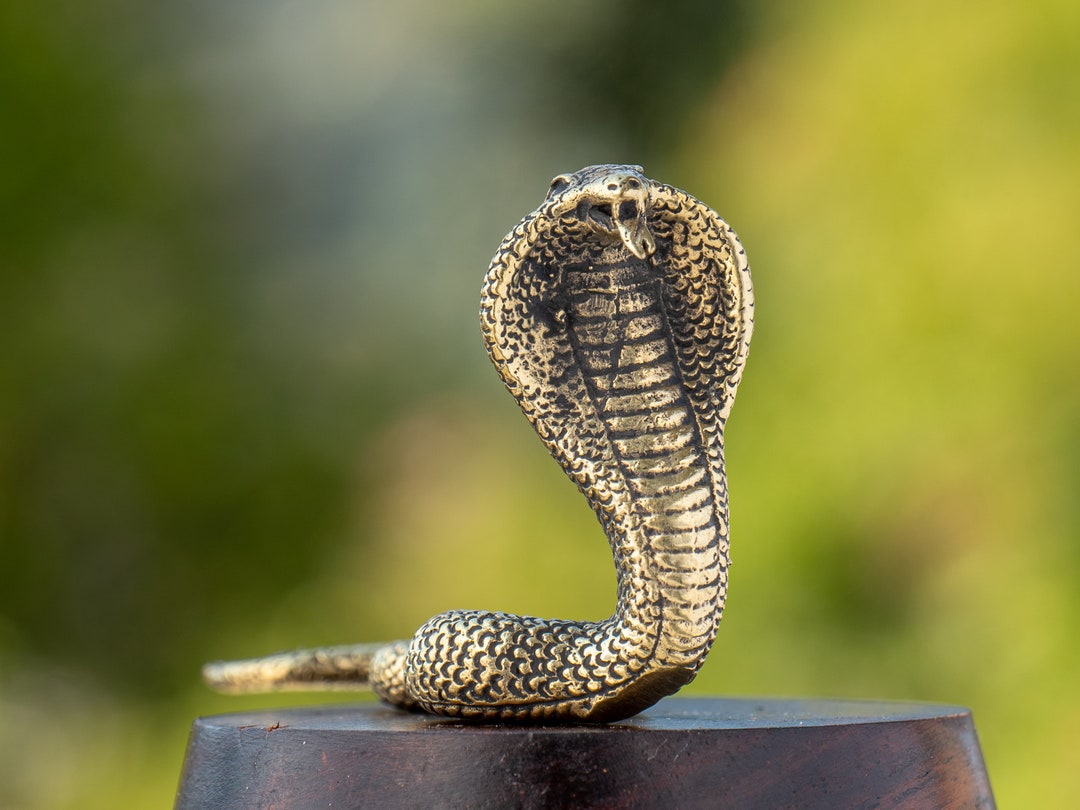 Cobra Figurine, Small Cobra Snake Statue, Brass Snake Statue - Etsy