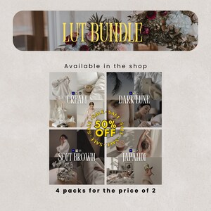 Soft Brown Luts for Adobe Premiere Pro, 10 Vlog Luts, Soft Dark Moody ...