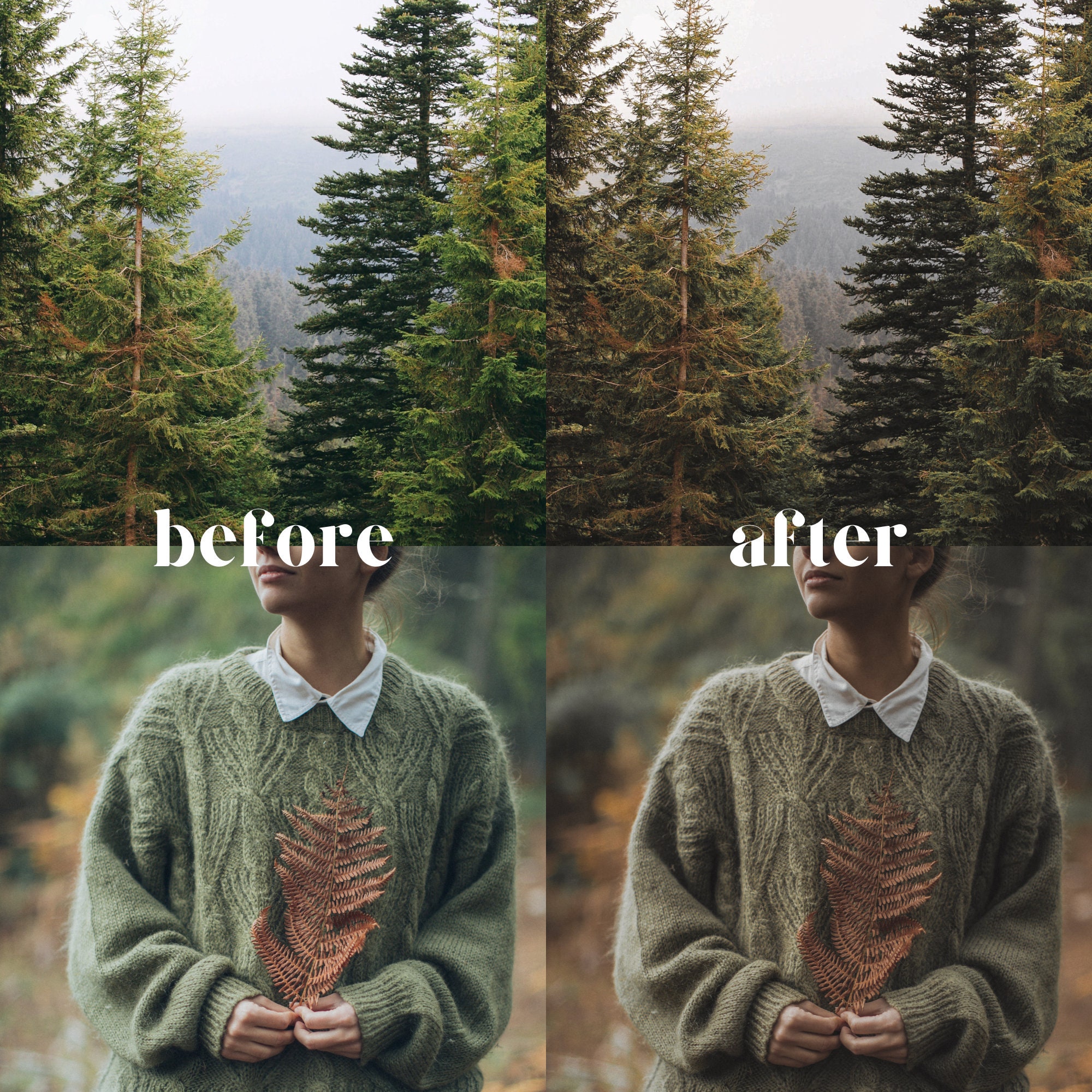 Earthy Luts for Adobe Premiere Pro, 10 Video Luts, Soft Moody Neutral ...