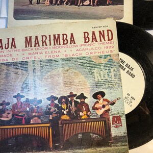 Vintage RCA Vinyl Music Record Albums Collection. - Etsy