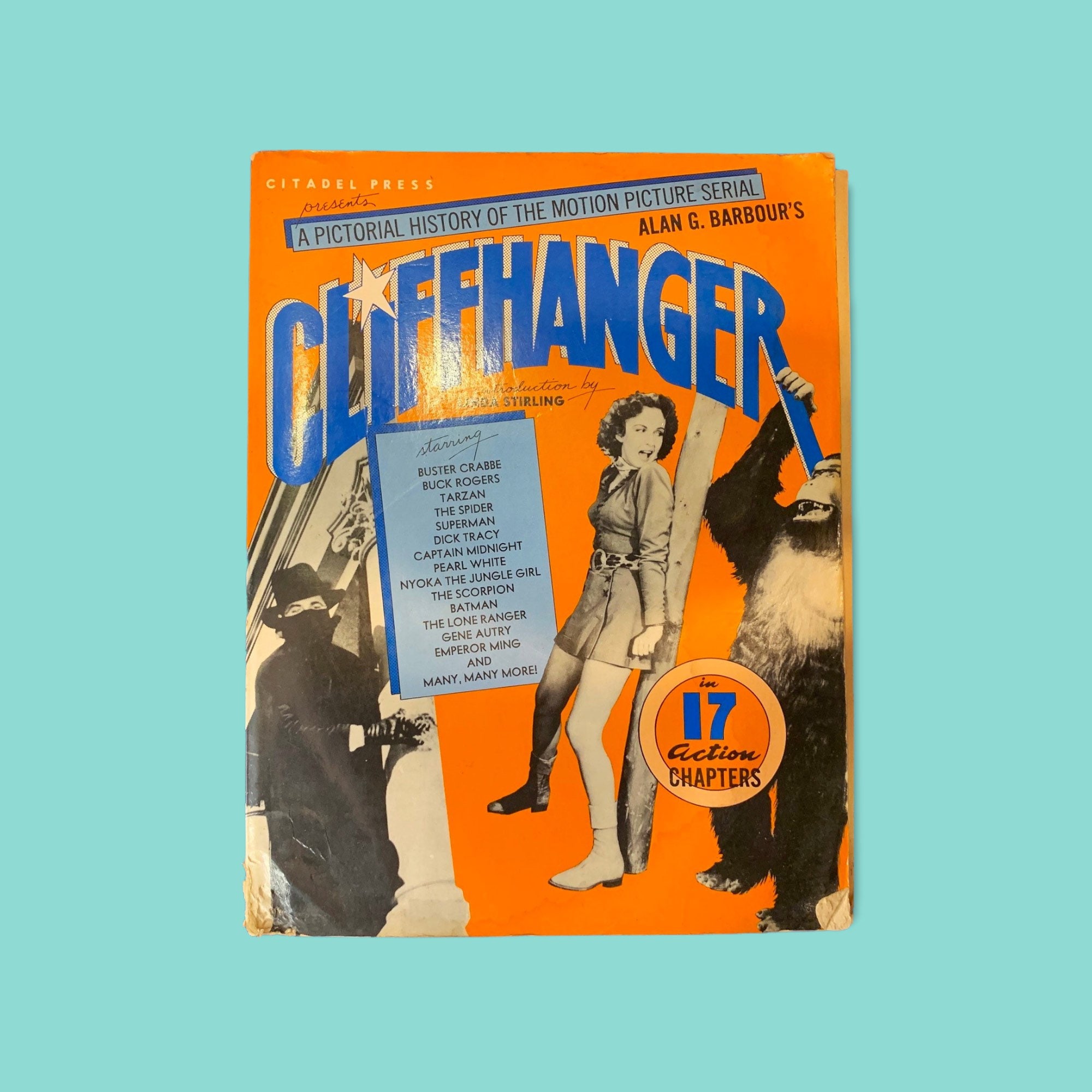 Cliffhanger Book