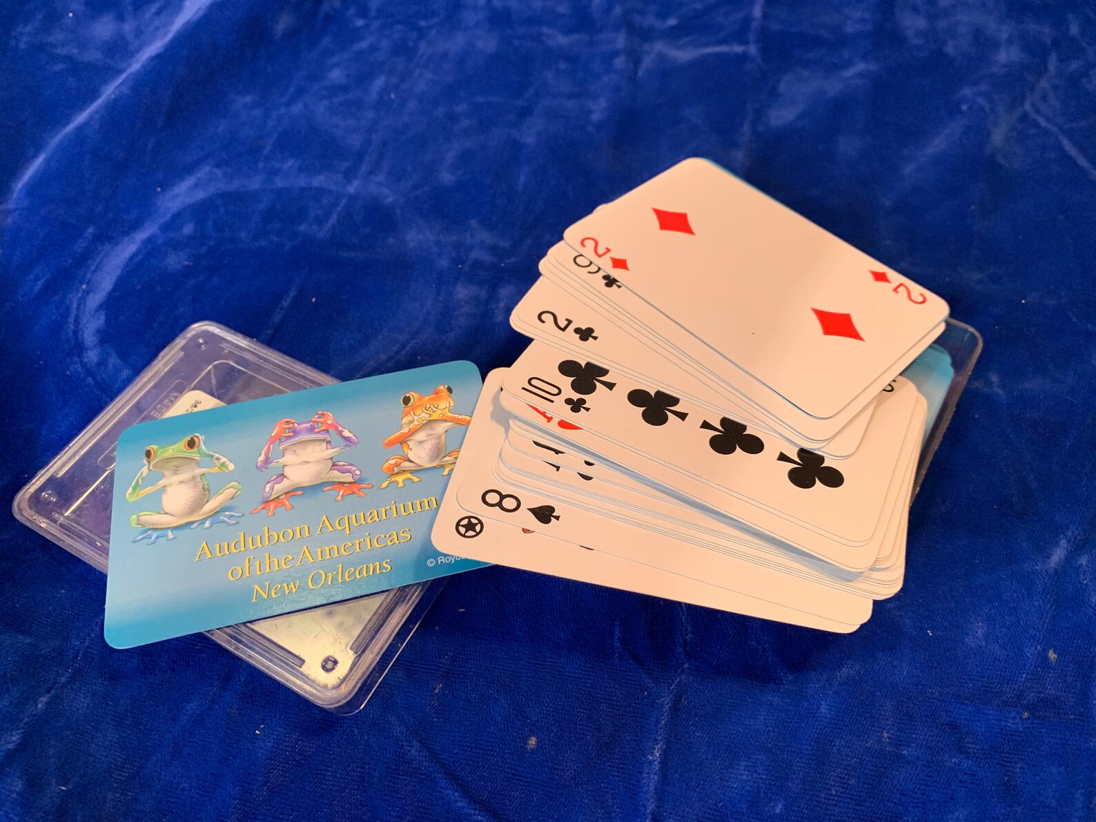 Vintage Frog Playing Cards in Case. | Etsy