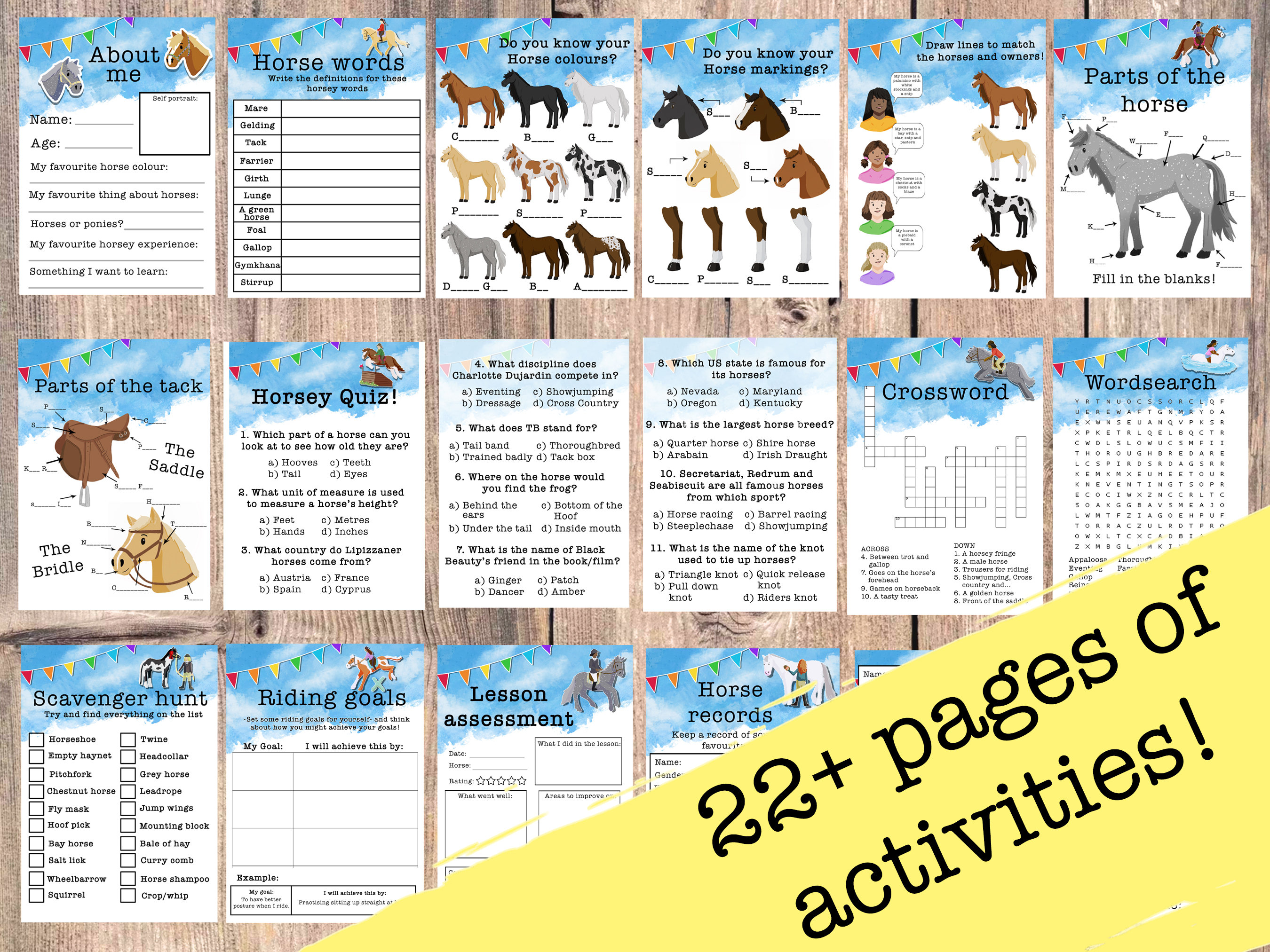 Horse Workbook-illustrated Digital Download for Pony Camp - Etsy