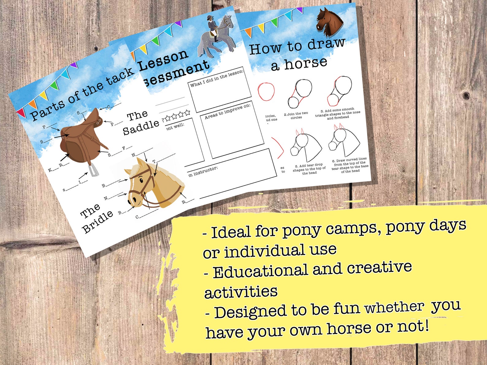 Horse Workbook-illustrated Digital Download for Pony Camp - Etsy