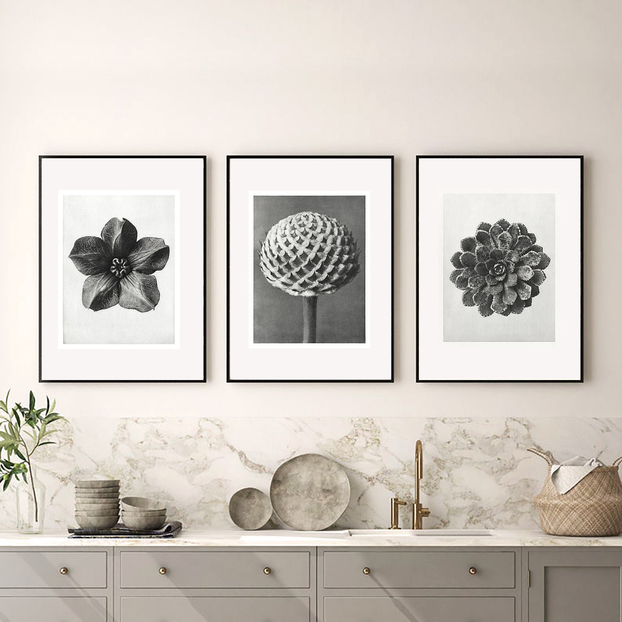 Black and White Photography Prints Botanical Print Set of 3 | Etsy