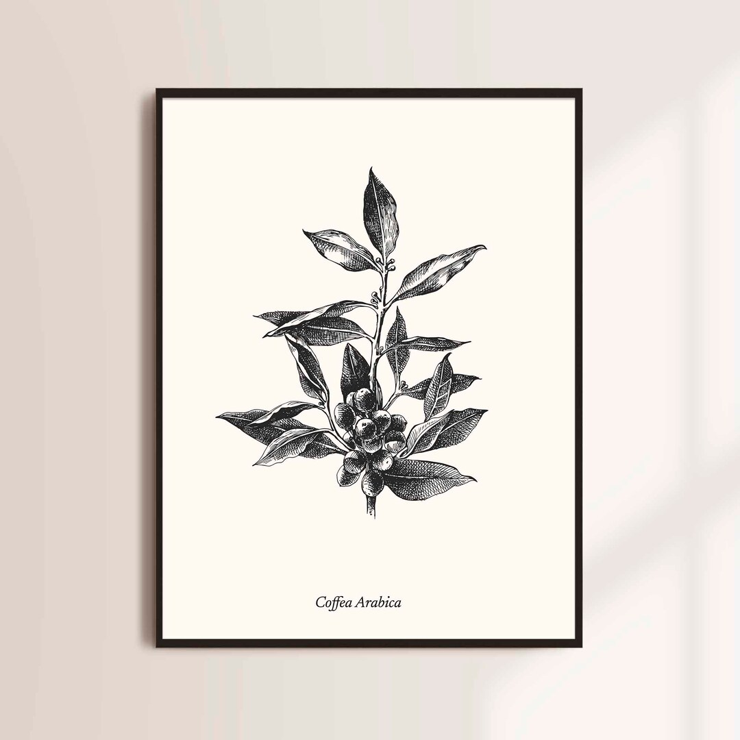 Coffee Plant Art Print, Vintage Kitchen Wall Decor, Coffee Bar Wall Art ...