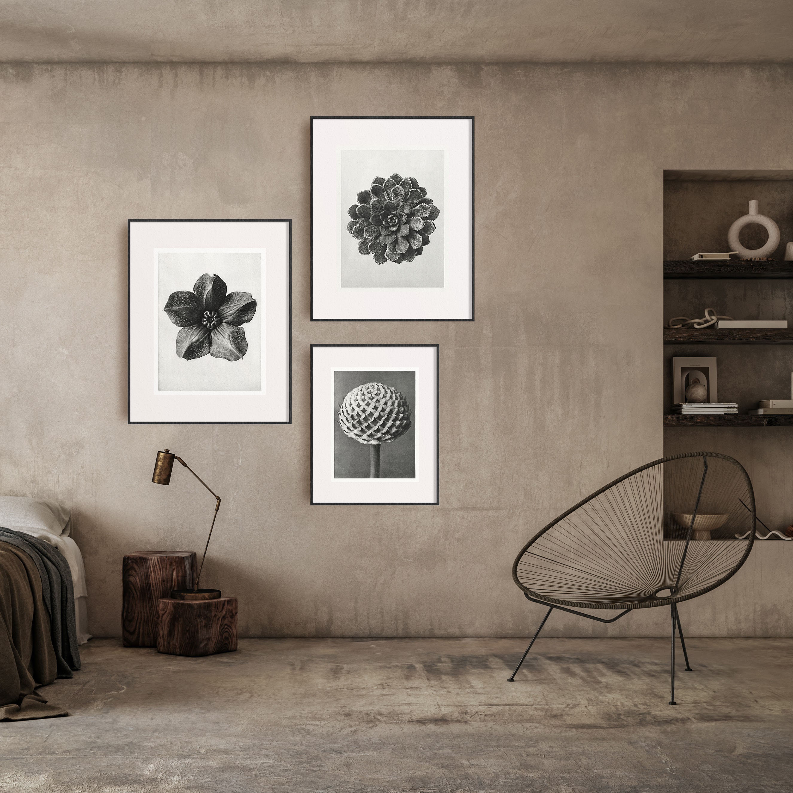 Black and White Photography Prints Botanical Print Set of 3 | Etsy