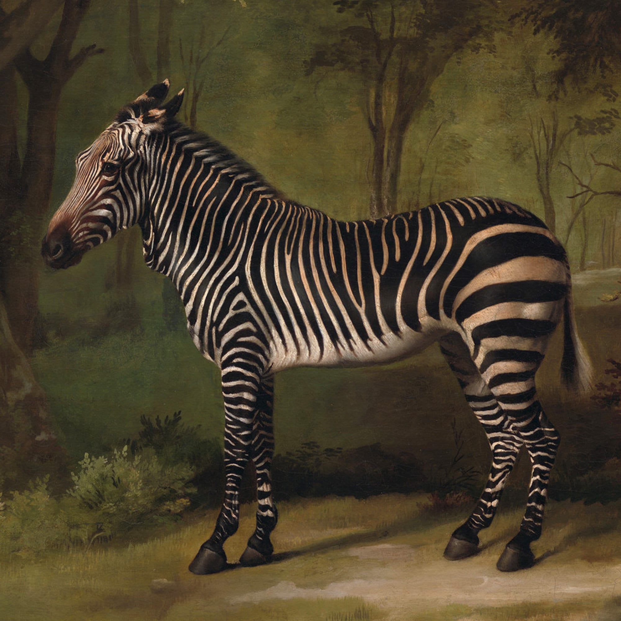 Animal Print/zebra Print/digital Download/wall Art/printable - Etsy