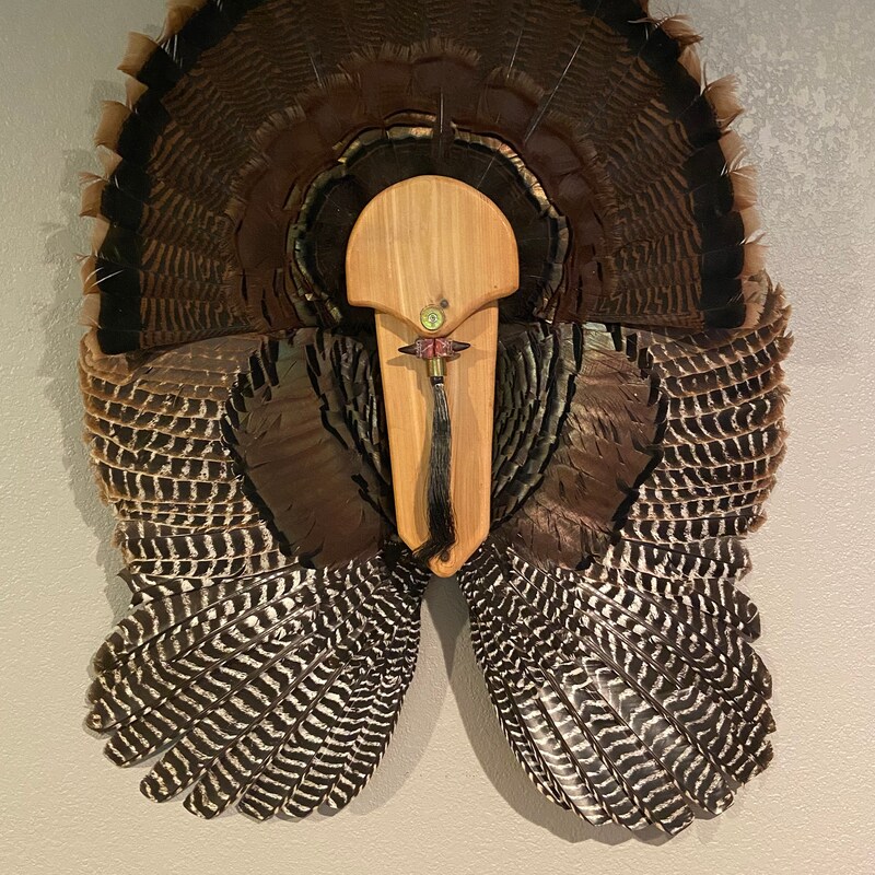 Turkey Fan Mount - Etsy