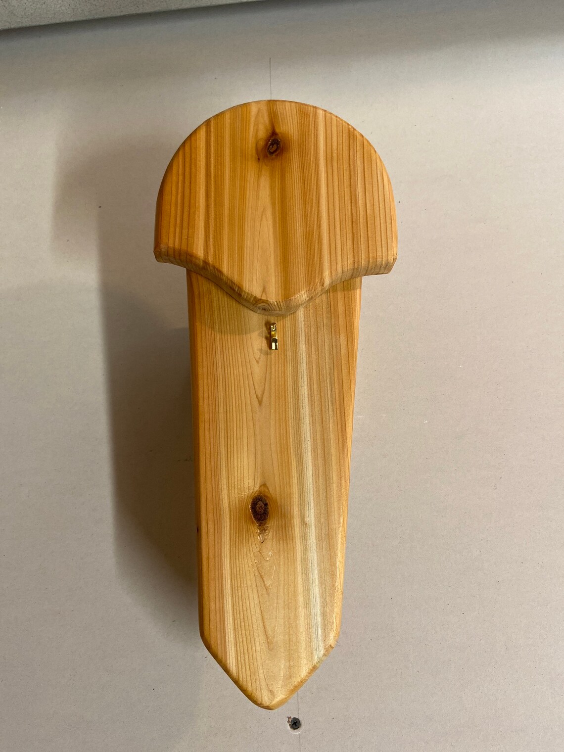 Turkey Plaque-wings and Fan - Etsy