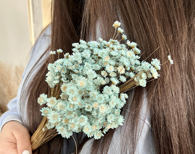 Xl Bunch Dried Flower Bouquet, Glixia, Light Blue, Dried Flowers ...