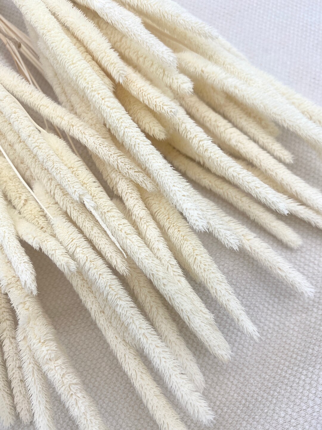 Dried Flower Bouquet Phleum Cream White Dried Flowers 1 - Etsy
