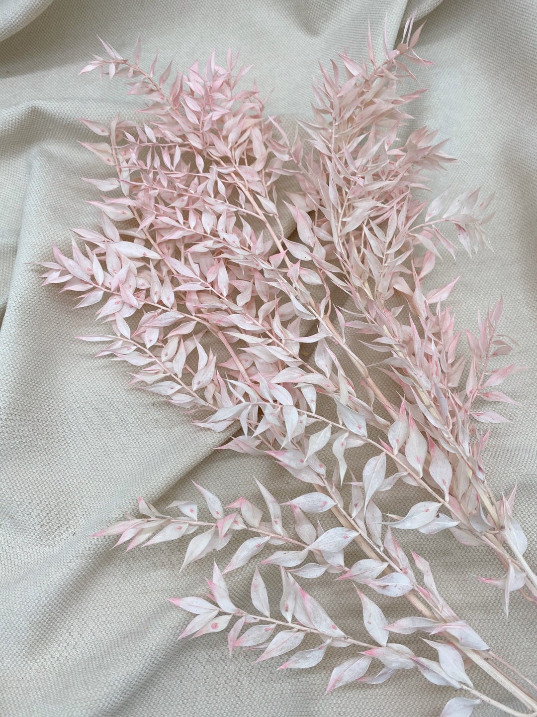 Ruscus Pink Dried Dried Flower Bouquet Decoration Dried - Etsy