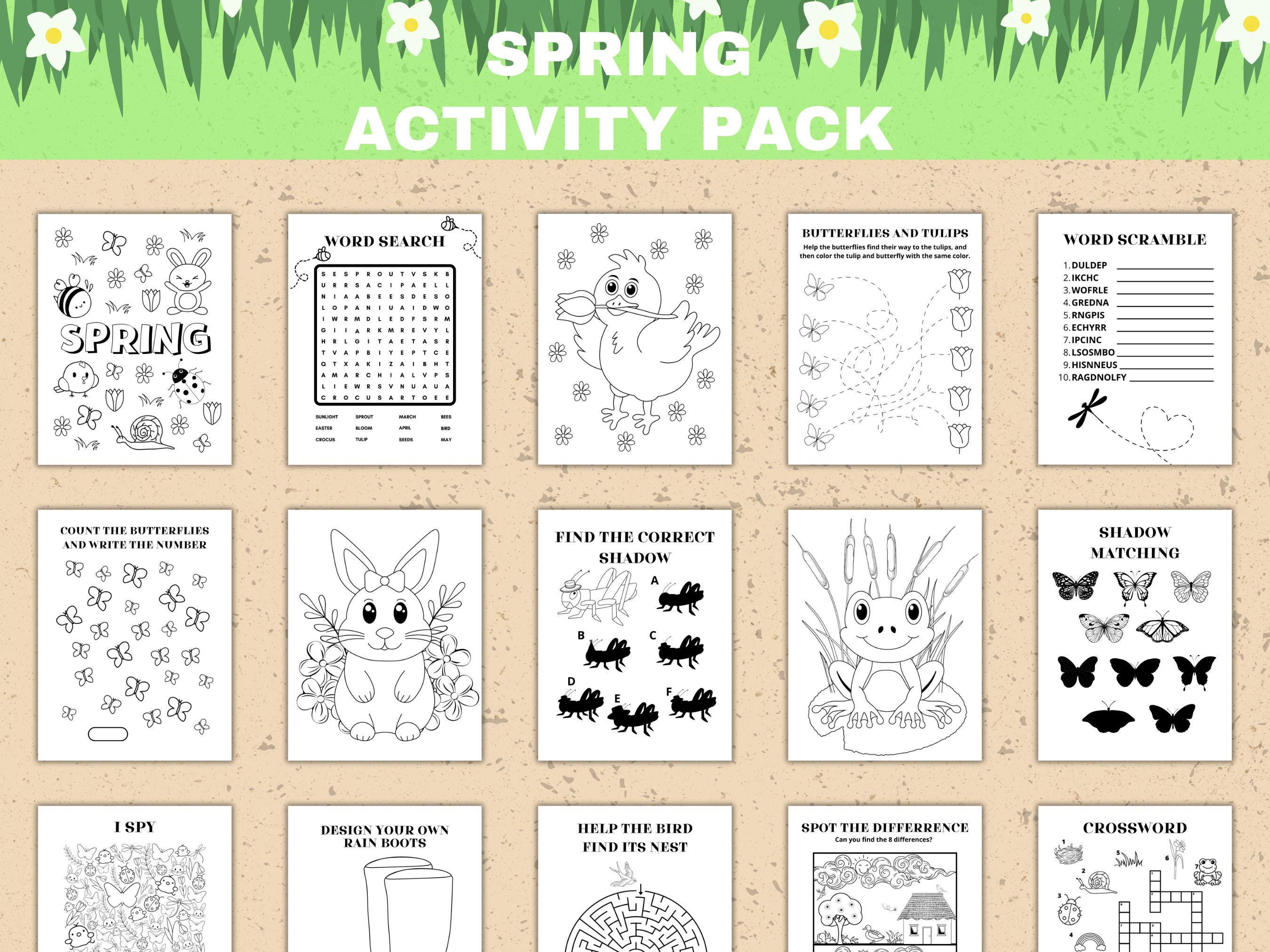 Seasons Activity Pack Bundle: Spring, Summer, Fall, Winter (digital ...