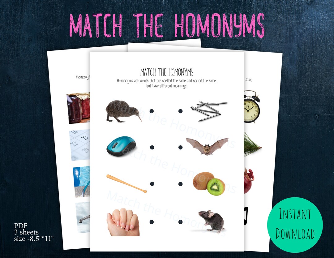 Homonyms Match the Homonyms Matching Game Dementia - Etsy Israel