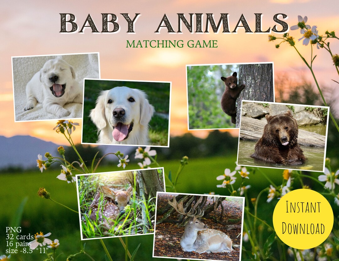 Baby Animals Matching Game, Find the Pair, Dementia, Alzheimers, Memory ...