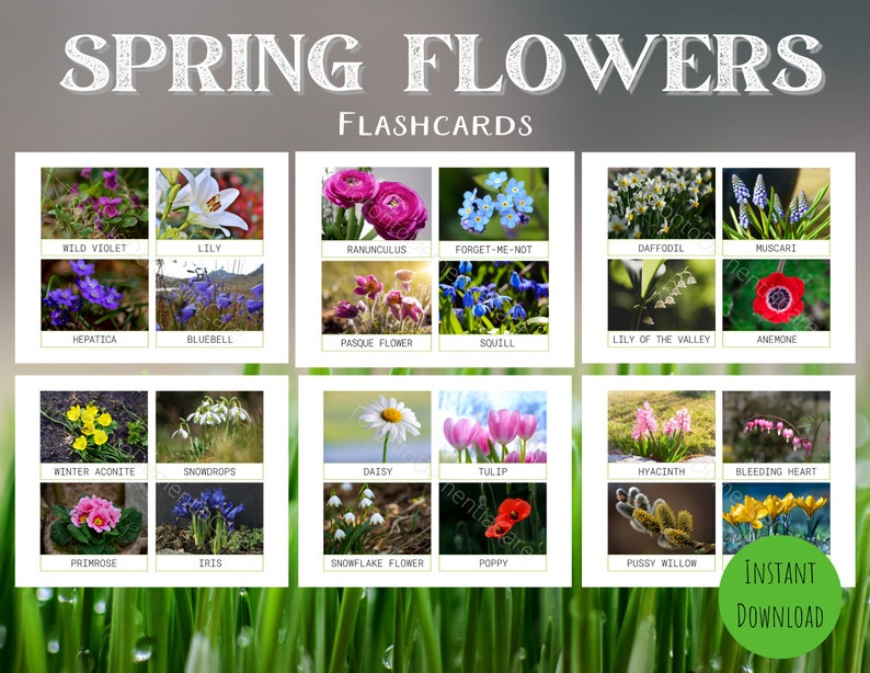 Spring Flowers Flashcards, Dementia, Alzheimer's, Memory Prompt, Image ...