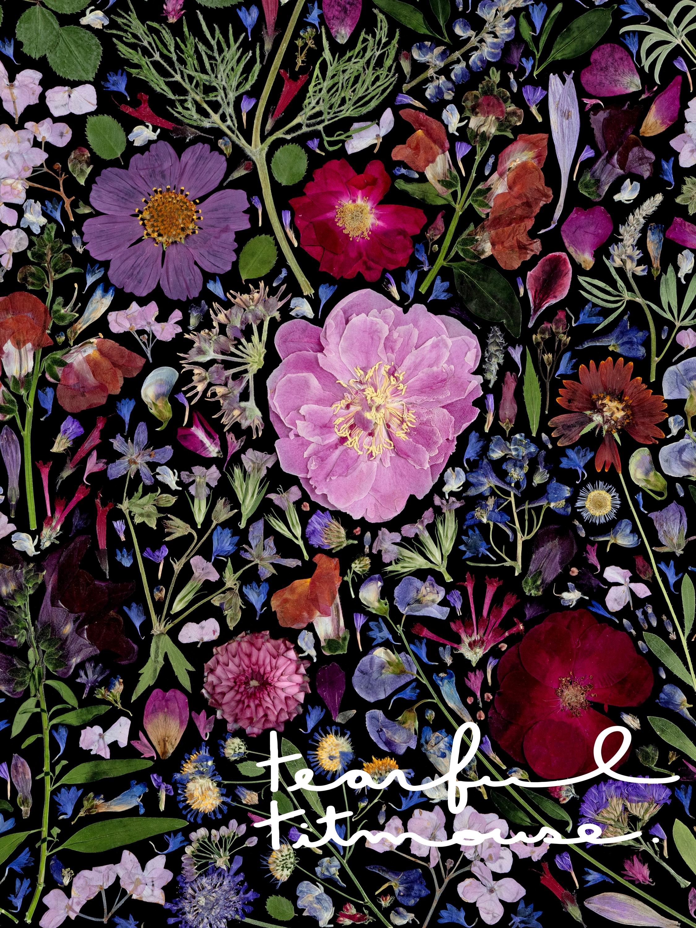 Botanical Pressed Flower Art Print: Midnight Blooms Giclee - Etsy