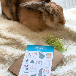 Bunny Sticker Sheet - Etsy