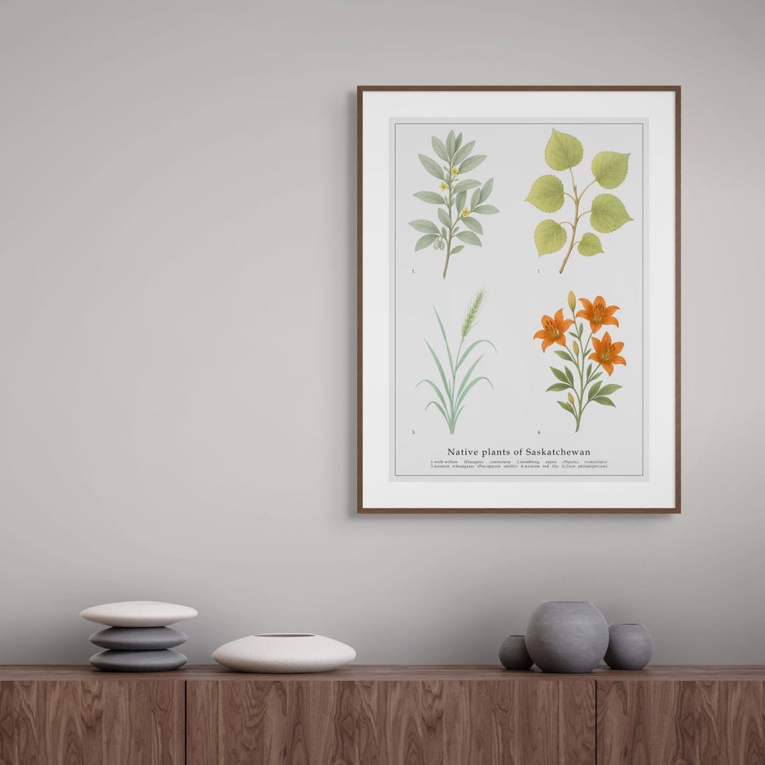 Saskatchewan Native Plants Wall Art - Botanical Vintage Art Print ...