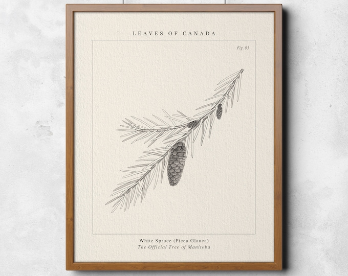 12 Manitoba Trees Art Print - Etsy Canada