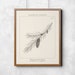 Newfoundland & Labrador, Black Spruce Botanical Wall Art the Official ...