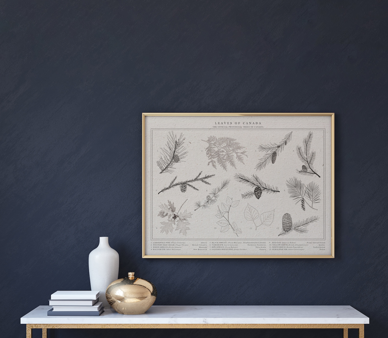 Provincial Trees of Canada, Botanical Drawing, Nature Wall Art - Etsy