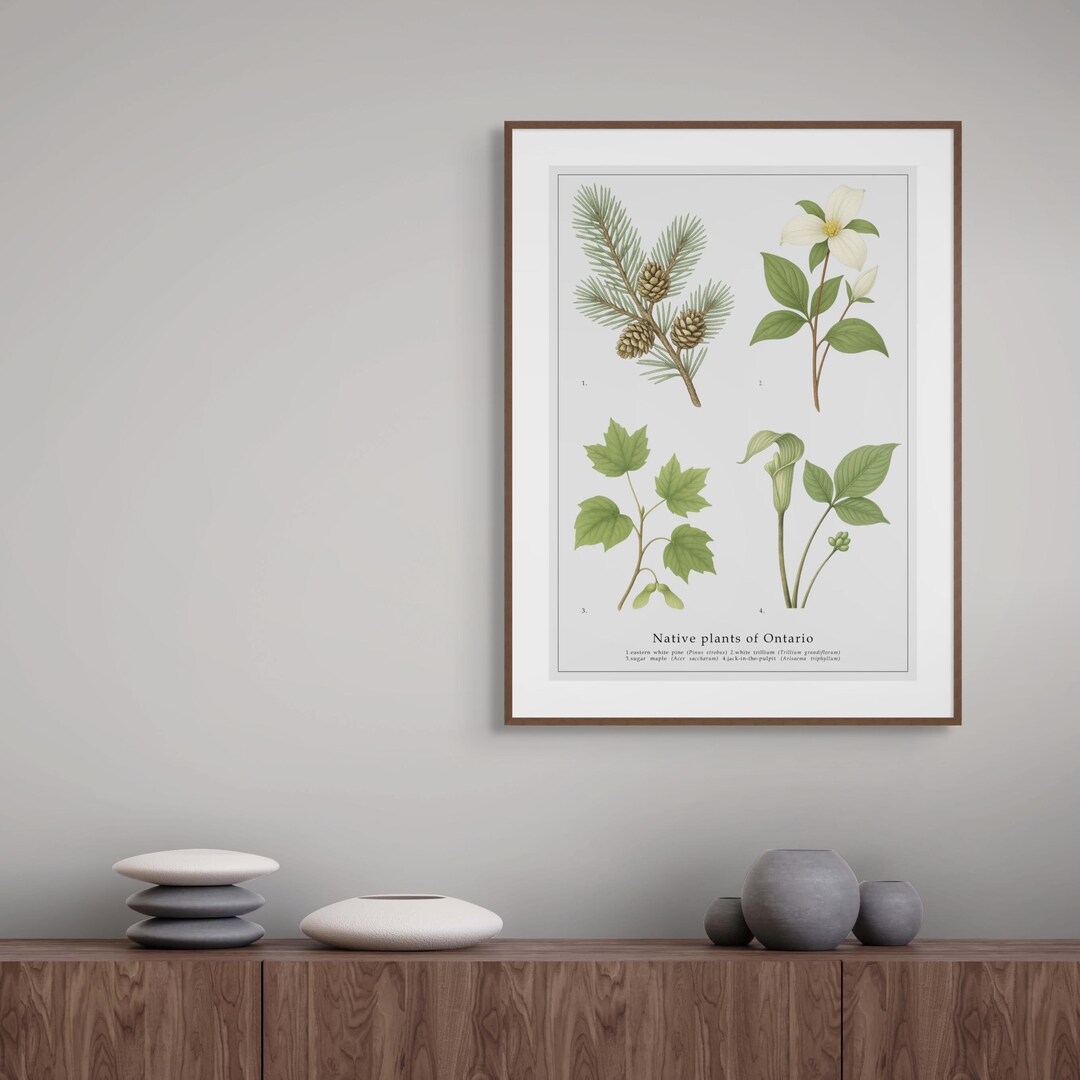 Ontario Native Plants Wall Art - Botanical Vintage Art Print - Leaves ...