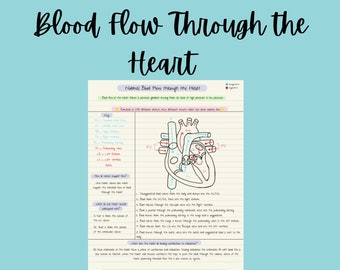Blood Flow of the Heart Cheat Sheet With Study Tips - Etsy