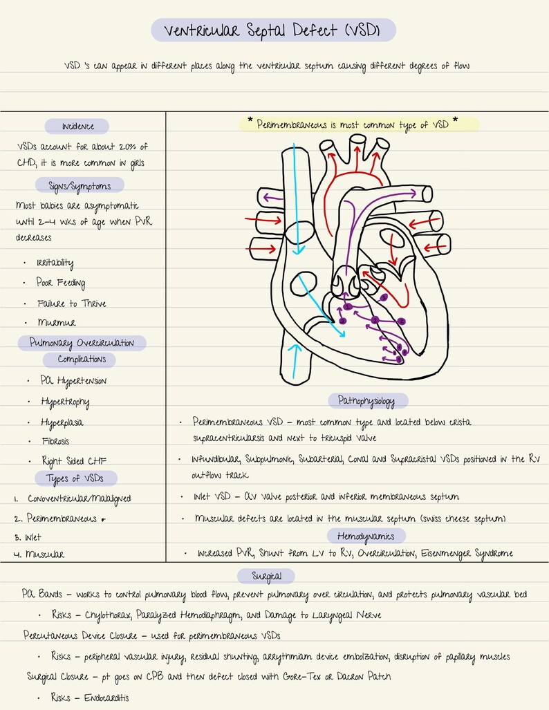 Ventricular Septal Defect Study Sheet - Etsy