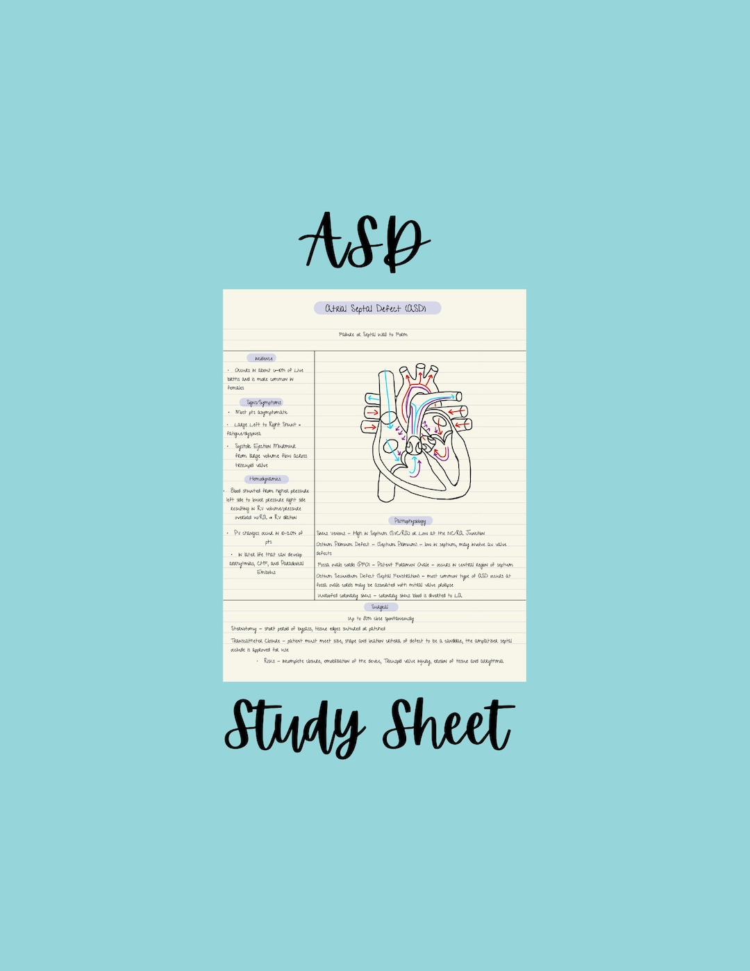 Atrial Septal Defect Study Sheet - Etsy UK