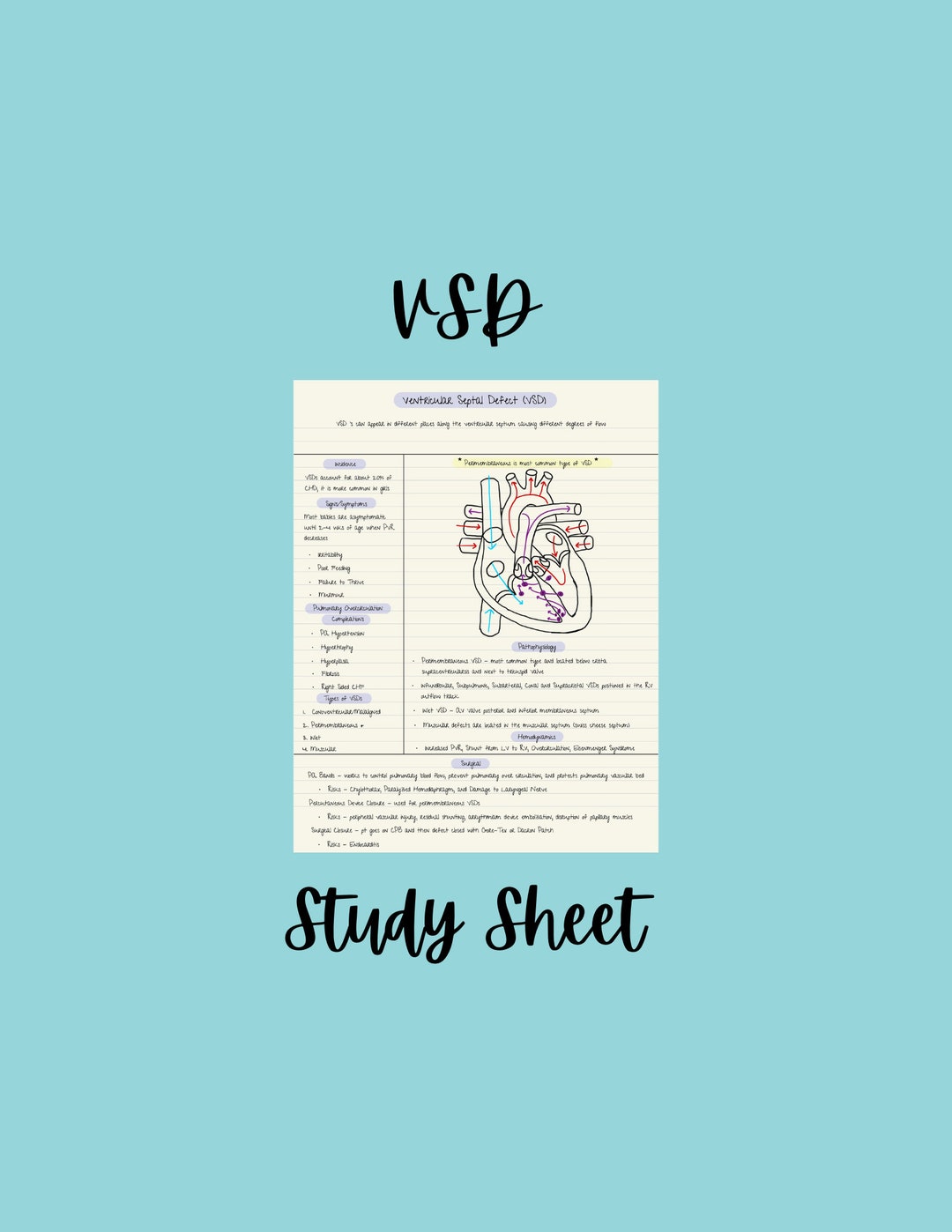 Ventricular Septal Defect Study Sheet - Etsy