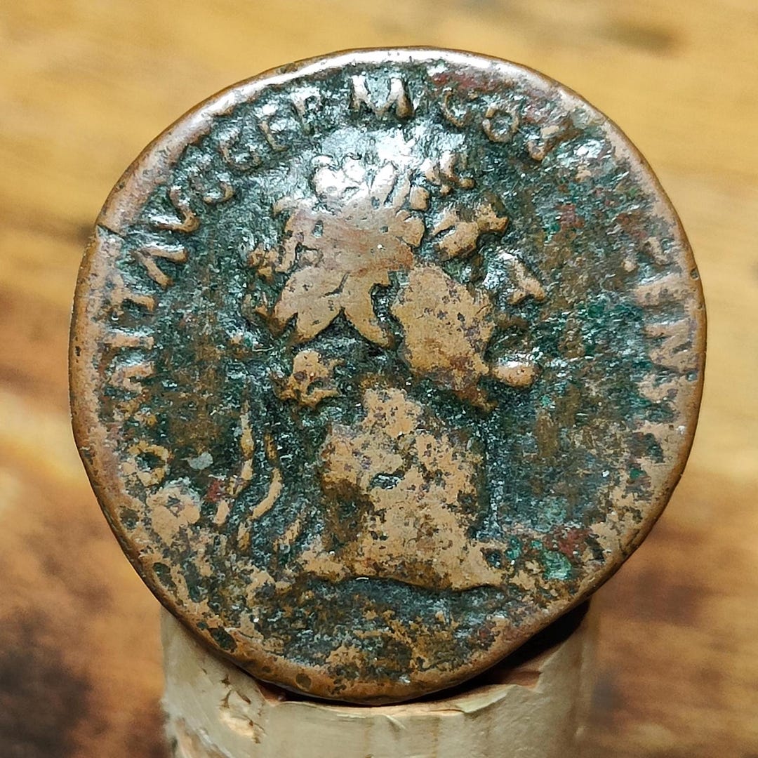 Domitian Bronze as With Minerva Reverse, Ancient Roman Coin - Etsy