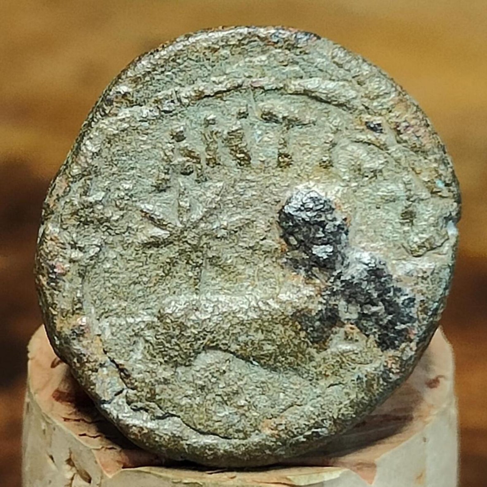 Ancient Greek Coin, Zeus and Ram, 27BC-14AD, Antioch, Ancient Semis ...